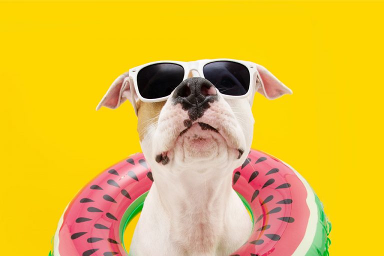 Get Your Eyes Summer Ready During Healthy Vision & Ultraviolet (UV ...